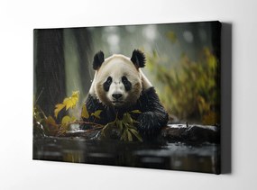 Obraz na plátně - Panda v dešti FeelHappy.cz Velikost obrazu: 40 x 30 cm