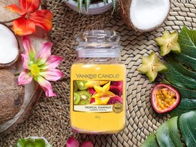 Yankee Candle – votivní svíčka Tropical Starfruit (Tropická karambola), 49 g