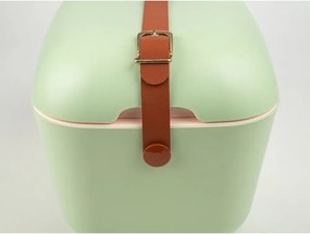 Světle zelený chladicí box 12 l Classic – Polarbox