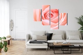 Vícedílný obraz Pastelová Růže Na 3D Makro Měřítku Nedostatek Nedostatek Plátno Canvas 240x150