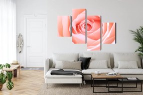 Vícedílný obraz Pastelová Růže Na 3D Makro Měřítku Nedostatek Nedostatek Plátno Canvas 120x75