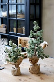 Zelený ojíněný vánoční cedrový stromek v jutě Fleur Cedar Tree - 30 cm