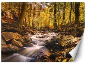 Fototapeta, Lesní potok na podzim - 450x315 cm
