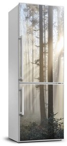 Wallmuralia Nálepka fototapeta na ledničku Mlha v lese 60x180 cm