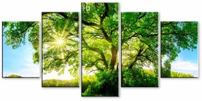 Vícedílný obraz strom Velikost (šířka x výška): 150x75 cm