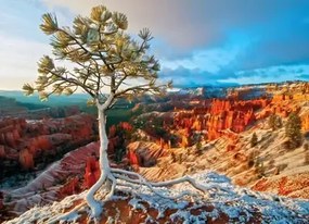 EUROGRAPHICS Puzzle Zimní svítání, Bryce Canyon / 1000 dílků / 67,63 ×