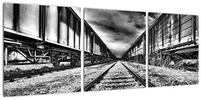 Železnice, koleje - obraz na zeď