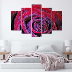 Obraz na plátně pětidílný Červená růžová květina - 200x100 cm