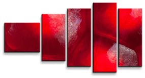 Sablio Obraz - 5-dílný Granátové jablko - 100x60 cm