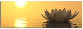 Obraz na plátně - Zen lotus - panoráma 5167A (120x45 cm)