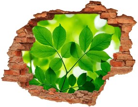 Wallmuralia Samolepící díra nálepka Zelené listí 90x70 cm