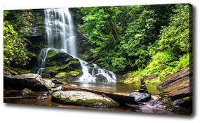 Wallmuralia Foto obraz na plátně Vodopád v lese 100x50