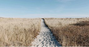 Bondecor Obraz, tištěné plátno Krajina 80 x 150 cm