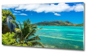 Wallmuralia Foto obraz fotografie na skle Pobřeží Seychely 100x50