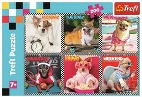 Trefl - Puzzle - Veselí Pejsci / 200 dílků / 48 x 34 cm / věk 7+