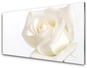 Plexisklo-obraz Růže Květiny 100x50 cm