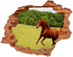 Wallmuralia Díra 3D fototapeta na stěnu Kůň na louce 90x70 cm
