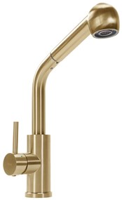 Rea Troy, stojánková kuchyňská baterie 34 cm, zlatá matná, REA-B6302