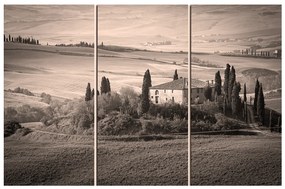 Obraz na plátně - Italská venkovská krajina 1156QB (90x60 cm  )