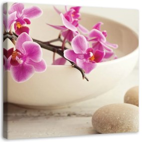 Obraz na plátně Růžové zenové orchideje - 40x40 cm