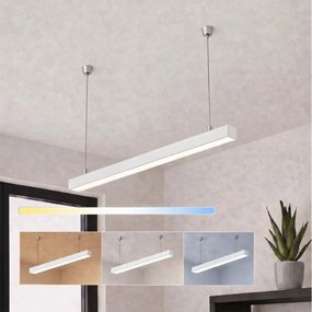 Brilagi - LED Závěs. svít. FULLDAY LED/20/30/40W/230V 2700/4000/6000K 120cm bílá