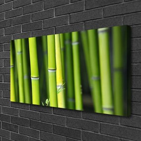 Obraz na plátně Bambus Příroda Rostlina 120x60 cm