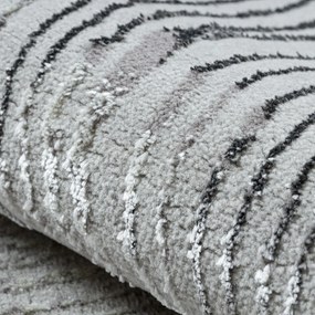 Dywany Łuszczów, Kusový koberec Bliss Z206AZ256 grey, 80x150, šedá, kancelář
