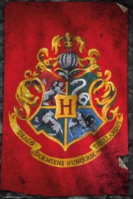 Plakát, Obraz - Harry Potter - Hogwarts, (61 x 91.5 cm)