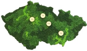 Mechová mapa Špendlíky v mechu - turistická|sobí mech Barva podkladové desky: Černá, Základní edice špendlíků: Hrady a zámky (15 ks)