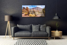 Obraz na skle Hory Rostliny Skály Krajina 120x60 cm