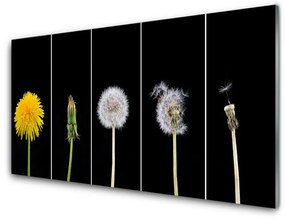 Obraz na skle Pampeliška Rostlina 140x70 cm