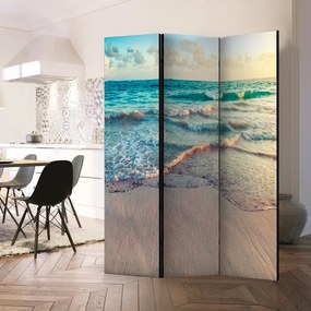 Paraván Beach in Punta Cana Dekorhome 225x172 cm (5-dílný)