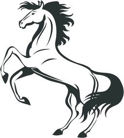 Samolepka Kůň ve výskoku