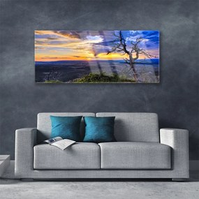 Plexisklo-obraz Strom Zápas Slunce 125x50 cm