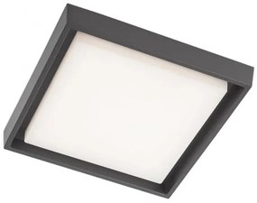 BAZEL-PL-LED 30W, IP54 - 9190