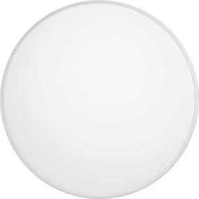 XXXLutz STROPNÍ LED SVÍTIDLO, 50/6/50 cm - Stropní svítidla - 005710025101