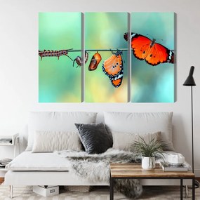 Vícedílný obraz Barevné Housenky A Motýli V Makro Měřítku Nedostatek Nedostatek Přírodní plátno 180x120