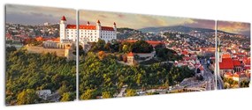 Obraz - Panorama Bratislavy, Slovensko (170x50 cm)