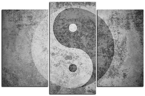 Obraz na plátně - Jin a jang symbol 1170QC (120x80 cm)