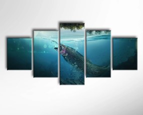 Malvis ® Obraz Pstruh pod vodou ROZMĚR (šířka x výška): pětidílné schody obdélník 150x75 cm