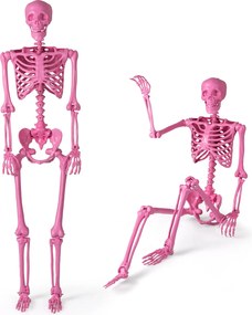 Costway 160 CM Halloweenská kostra polohovatelná kostra v životní velikosti