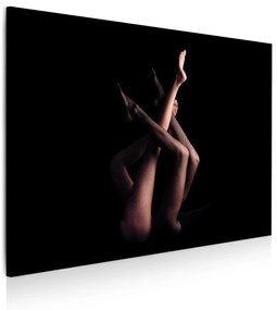 Malvis ® Obraz akt Ženské nohy Velikost (šířka x výška): 90x60 cm