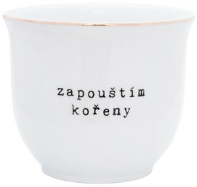 Bella Rose Porcelánový obal na květináč Zapouštím kořeny 10 cm, bílá barva, zlatá barva, porcelán