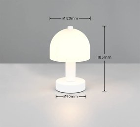 Bílá stolní lampa se skleněným stínidlem (výška 19 cm) Glenn – Reality