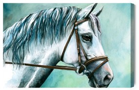 Obraz Bílý Kůň Jak Maloval Nedostatek Nedostatek Plátno Canvas 120x80