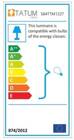 Černé stropní svítidlo Sparrow – Opviq lights