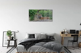 akrylový obraz Tiger Woods 100x50 cm