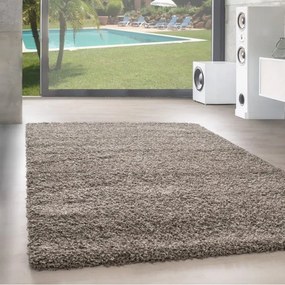 Vopi | Kusový koberec Dream Shaggy 4000 taupe - 200 x 290 cm