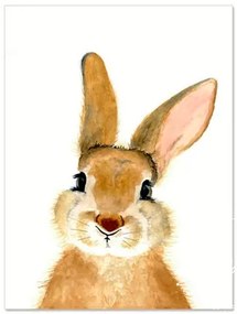 Obraz s motivem malovaná zvířecí mláďata Motiv: TX2070 králík, Rozměry (cm): 15x20 cm