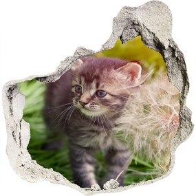Wallmuralia Díra 3D fototapeta nálepka Kočka s pampeliškou 75x75 cm